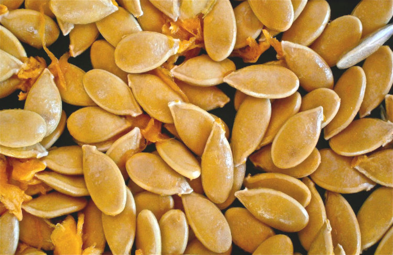 Pevides de Abóbora – Salutem